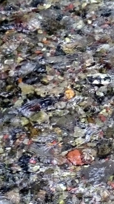 Lob, Kritik, Feedback, Beurteilung: alles Resonanz? - FENDEL & PARTNER